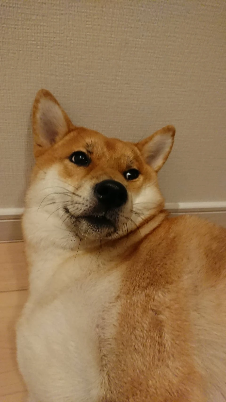 拍摄level11的第二天 | Fandom