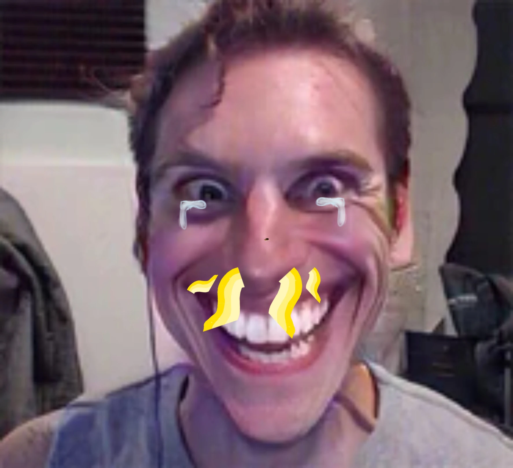 Flea Makes Jerma Sneeze | Fandom