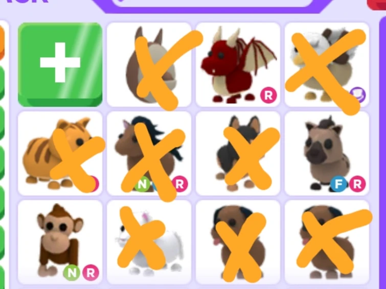 Who has a normal bat dragon? | Fandom