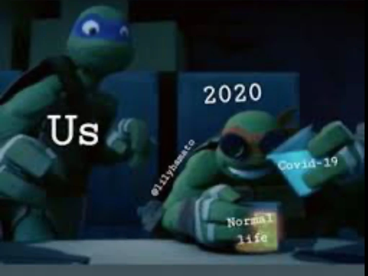 TMNT Meme Of The Day | Fandom