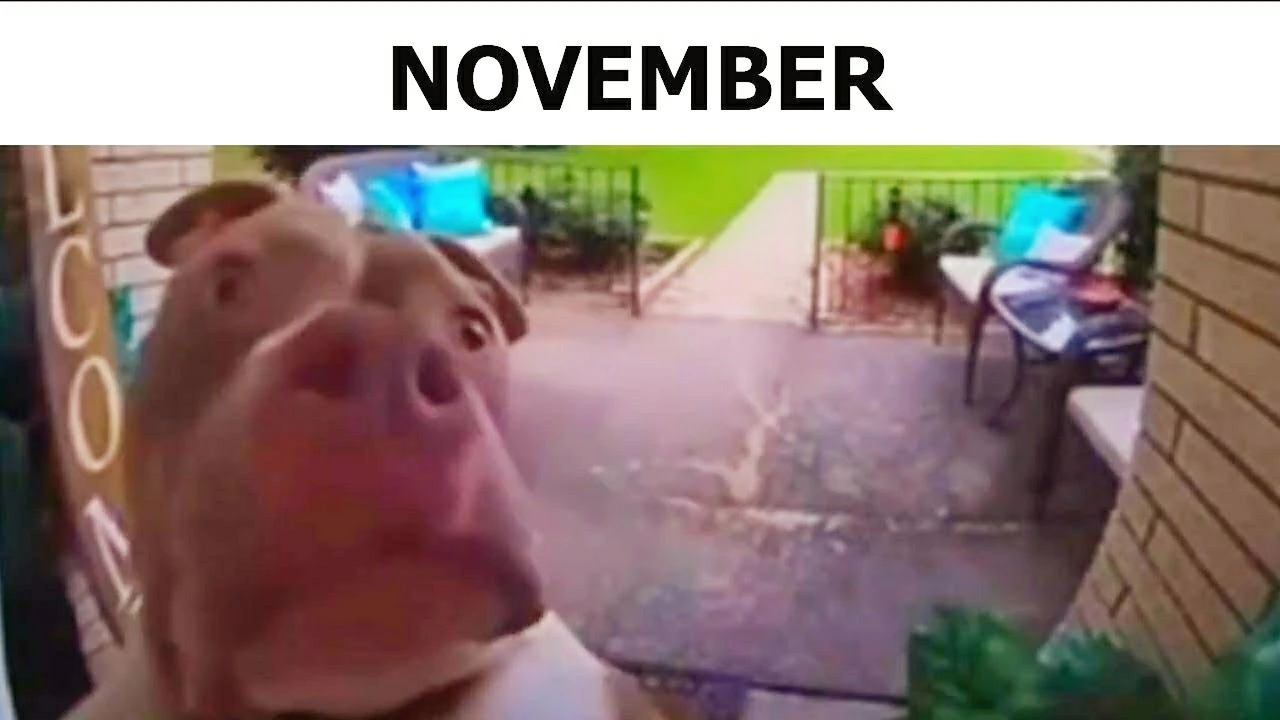 I think the March dog is where Esther Winchester’s phase 4 transition ...