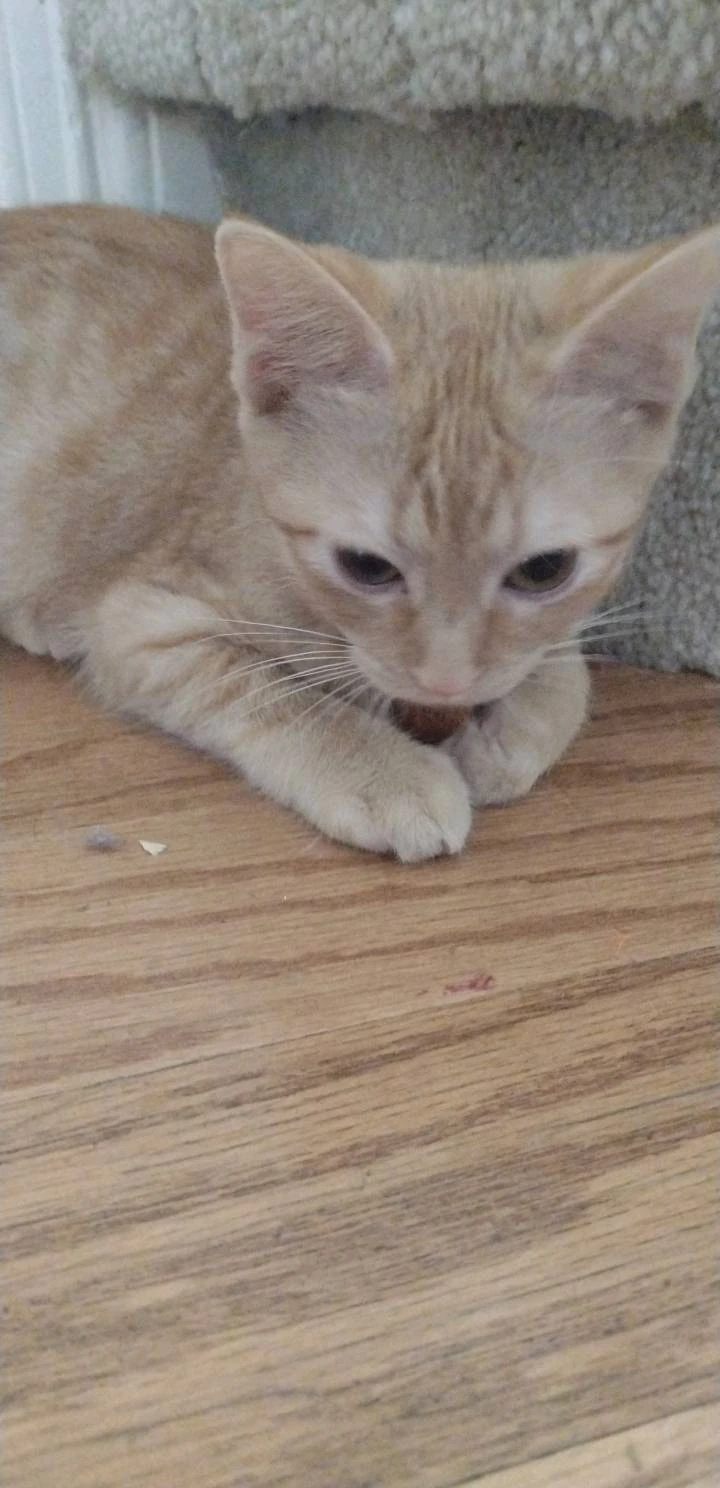 The best MD oc/hj | Fandom