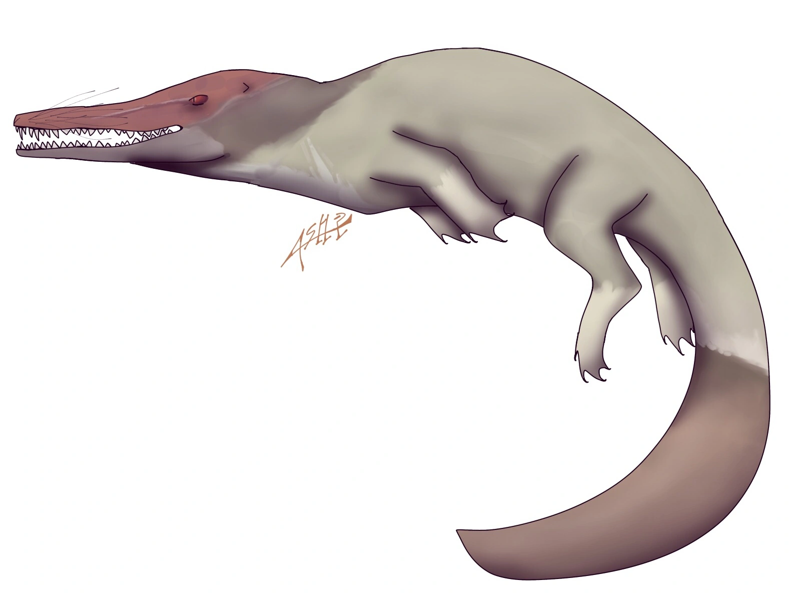 my drawing of kutchicetus minimus (ik, it's kinda bad) | Fandom