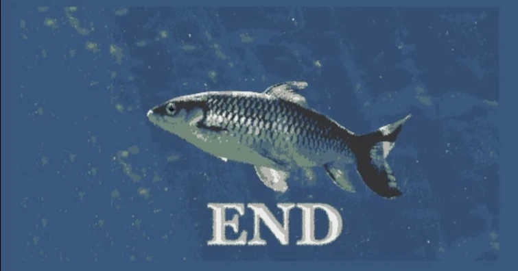 ITS FUNNY FISH FRIDAY | Fandom