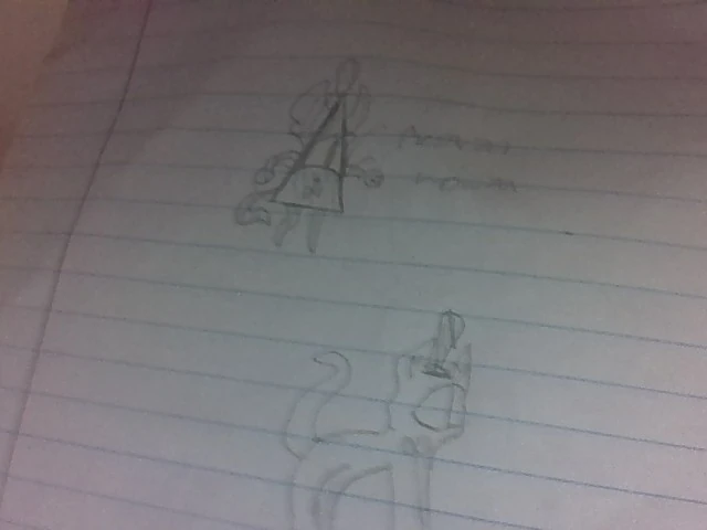 The bill cat | Fandom