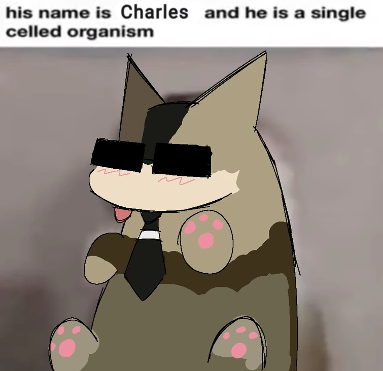 Discuss Everything About Doodle World Wiki | Fandom