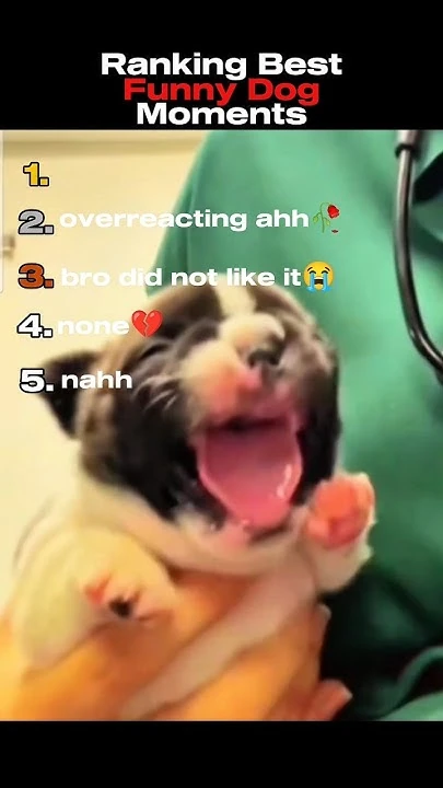 freaky ahh dawgs💔 ️ | Fandom