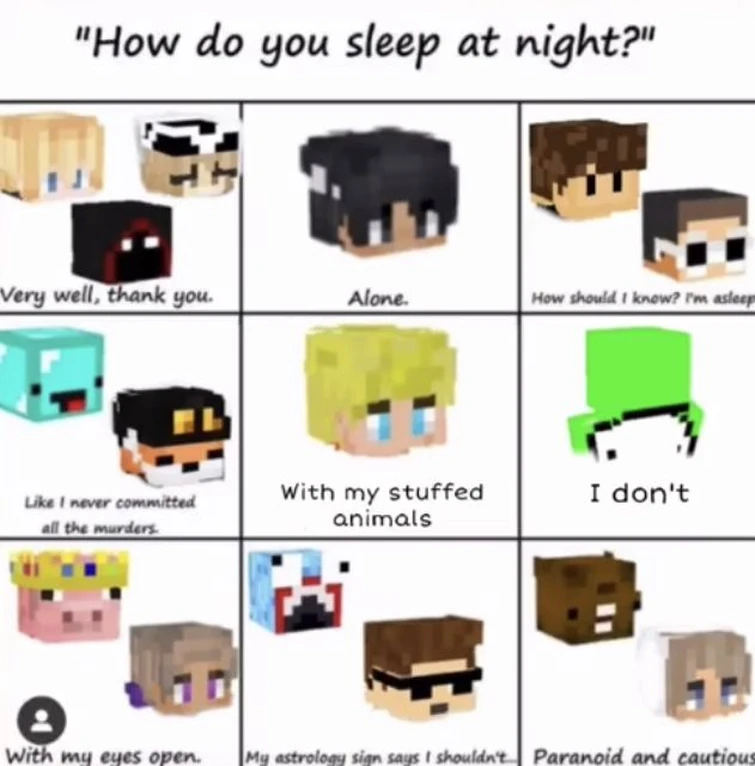 Dream SMP memes that I laugh at instead of sleeping | Fandom