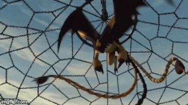 Which one would win in a fight? | Fandom