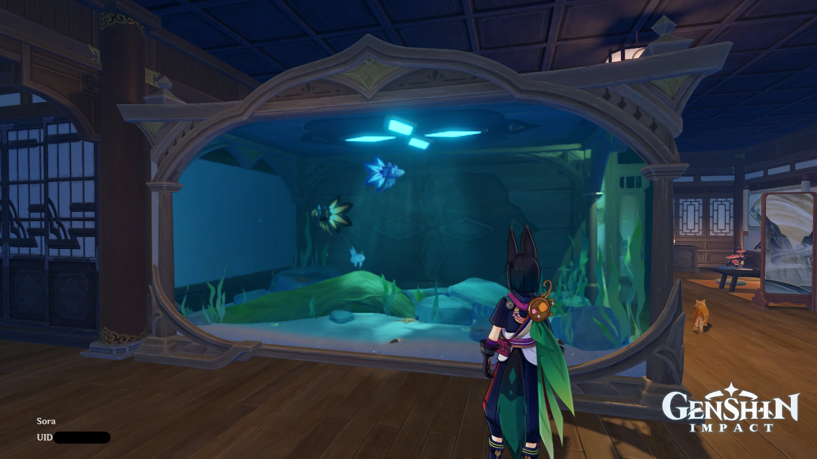 The fish tank is a thing of beauty | Fandom
