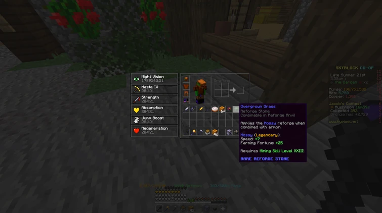 Discuss Everything About Hypixel SkyBlock Wiki | Fandom