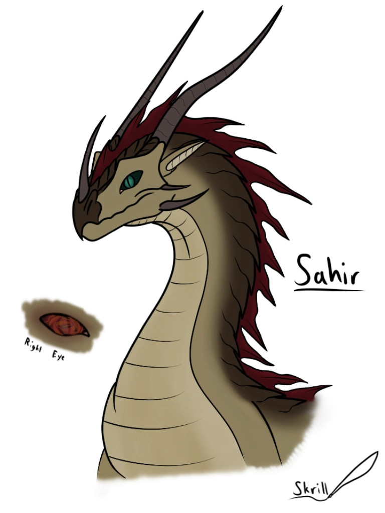 Theme Song for the Funky Animus Wish Guy | Fandom