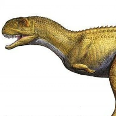 Discuss Everything About Dinopedia | Fandom