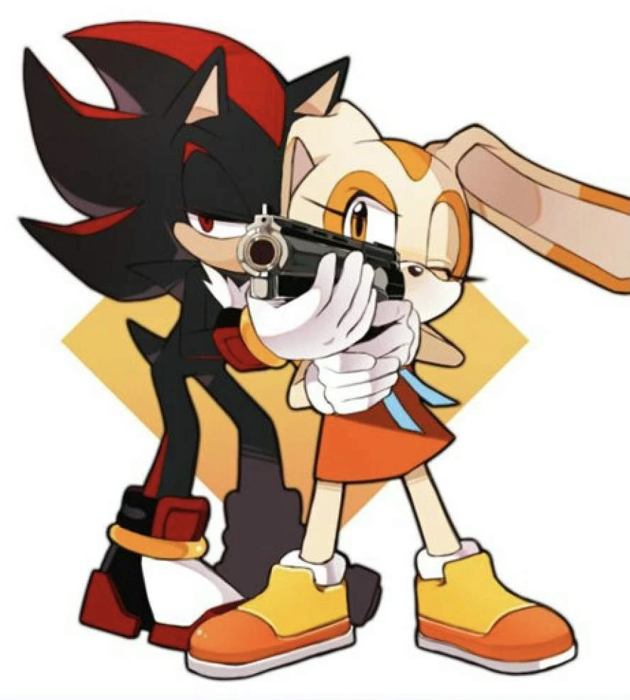 Shadow what are you d- SHADOW, NO | Fandom