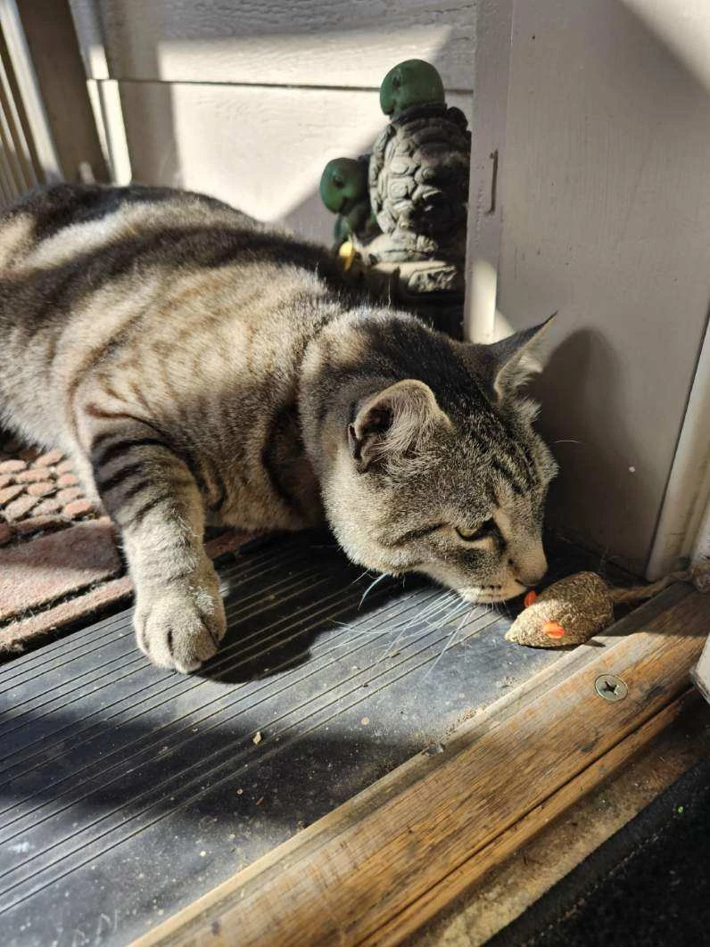 LOOK WHO SHOWED UP AGAIN AAAA | Fandom