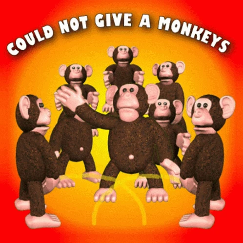 could not give a monkeys | Fandom