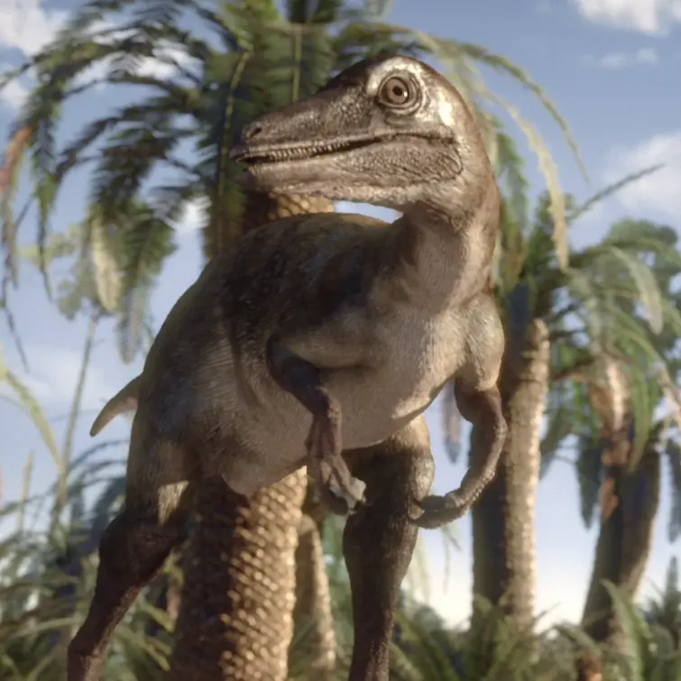 What was the species of troodontid in planet dinosaur? | Fandom