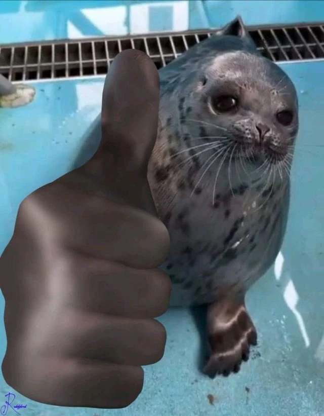 I feel evil | Fandom