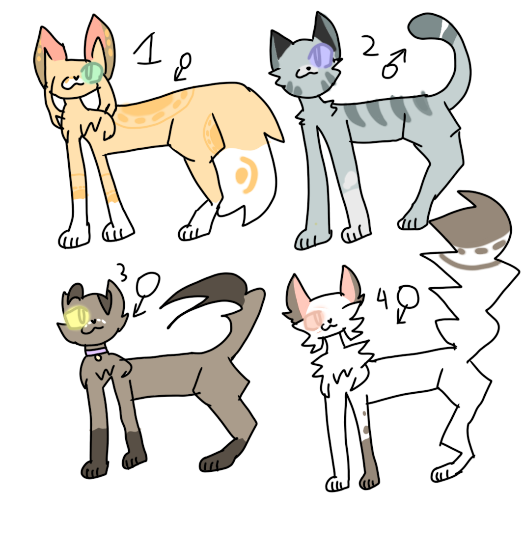 Adoptable warrior cats ocs! (Slight contest?) | Fandom