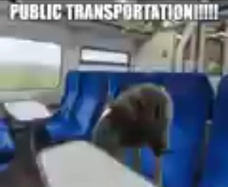 buh bye people | Fandom