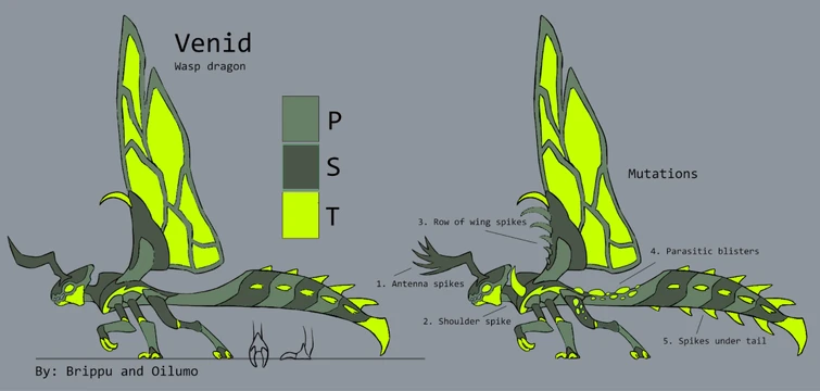 Discuss Everything About Dragon Adventures Wiki | Fandom