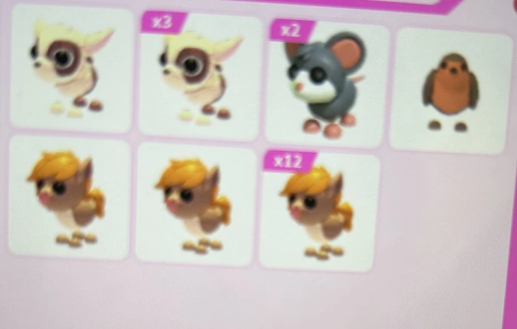 Discuss Everything About Adopt Me! Wiki | Fandom