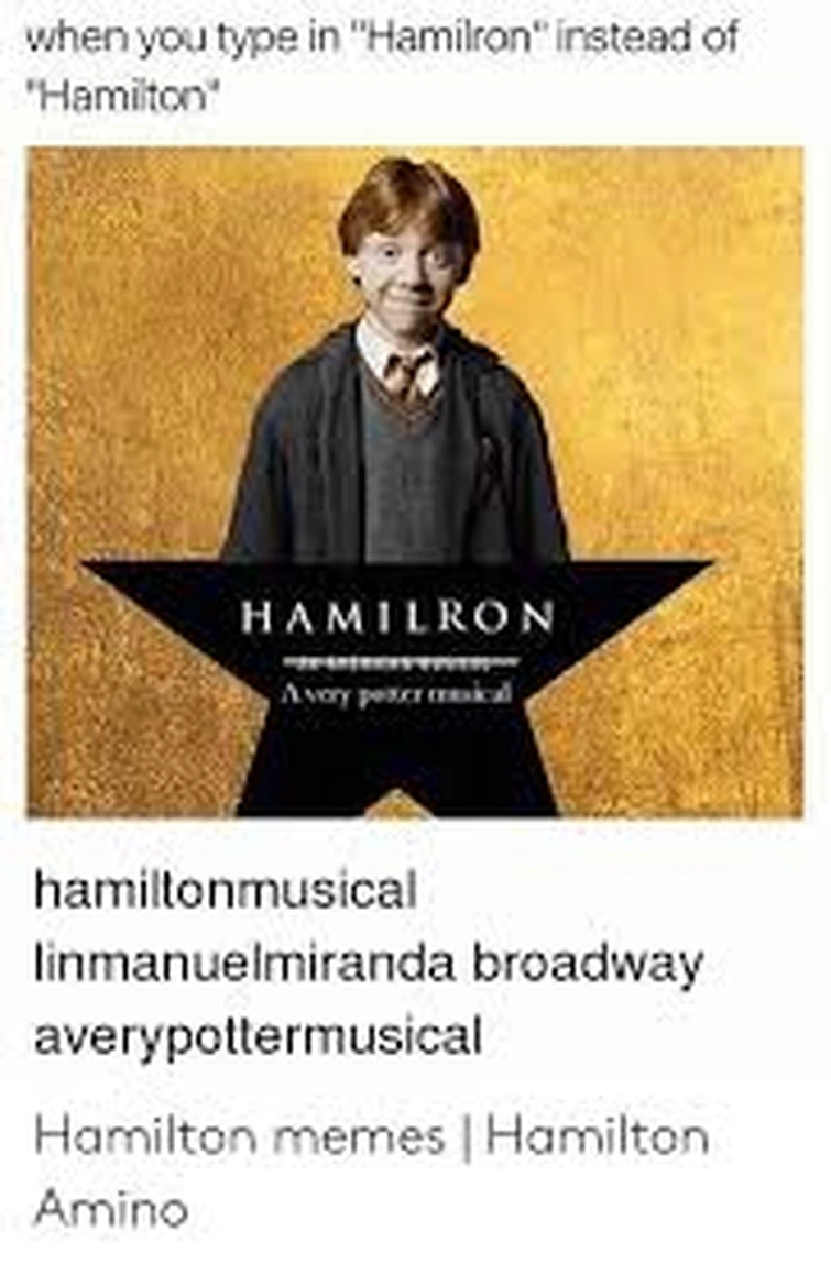 Hamilton Memes In A Nutshell(Part 8 But With A Twist)😏 | Fandom