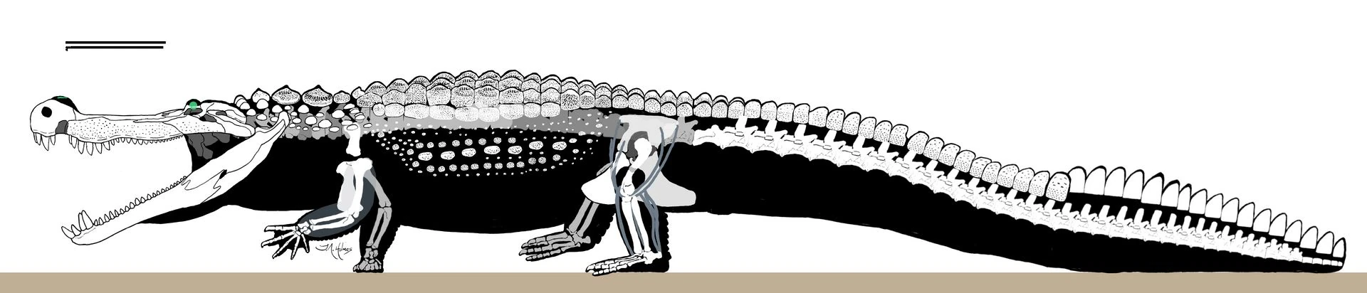 New King Of Crocodilians? | Fandom