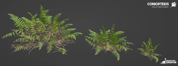 Discuss Everything About Dinopedia | Fandom