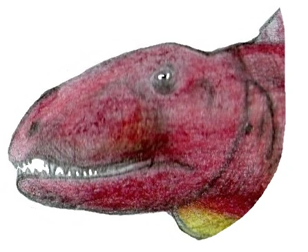 Fósiles desconocidos: Neosaurus | Fandom