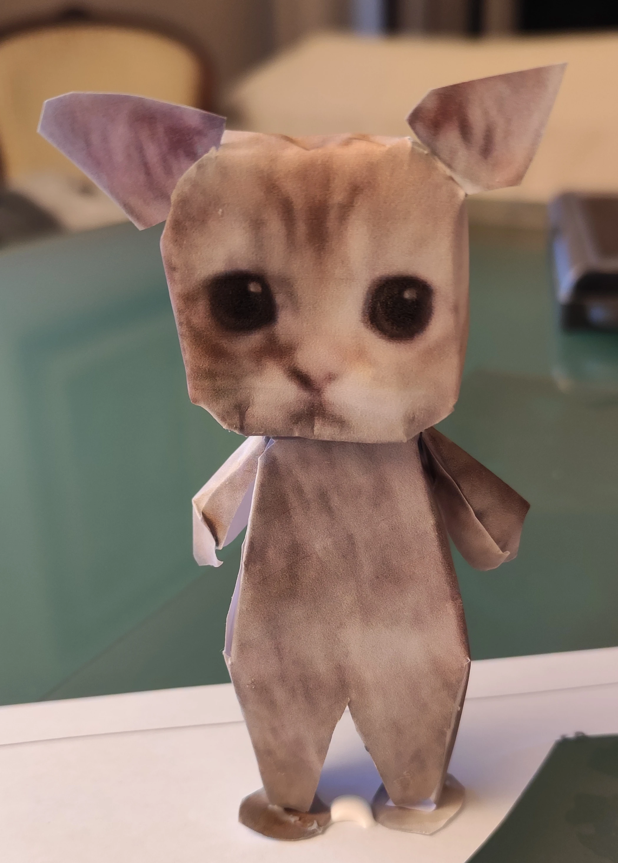El gato | Fandom