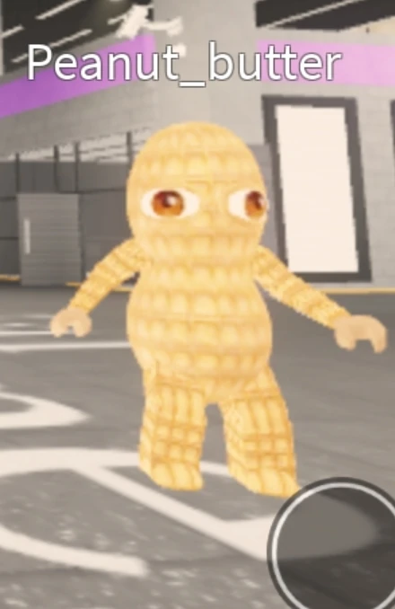 More roblox screenshots (Social experiment) | Fandom