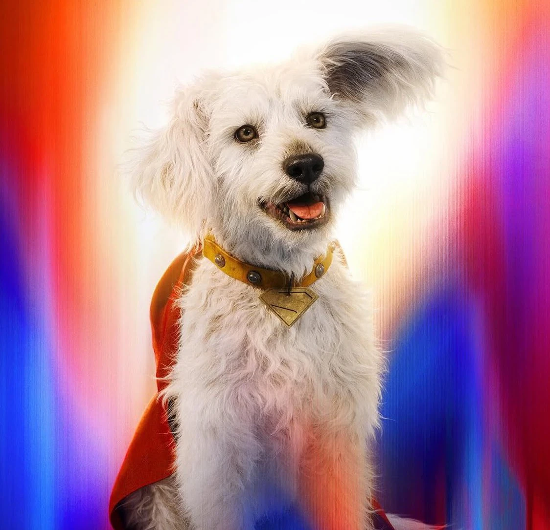 An animated ‘KRYPTO’ series is seemingly in the works at DC Studios ...