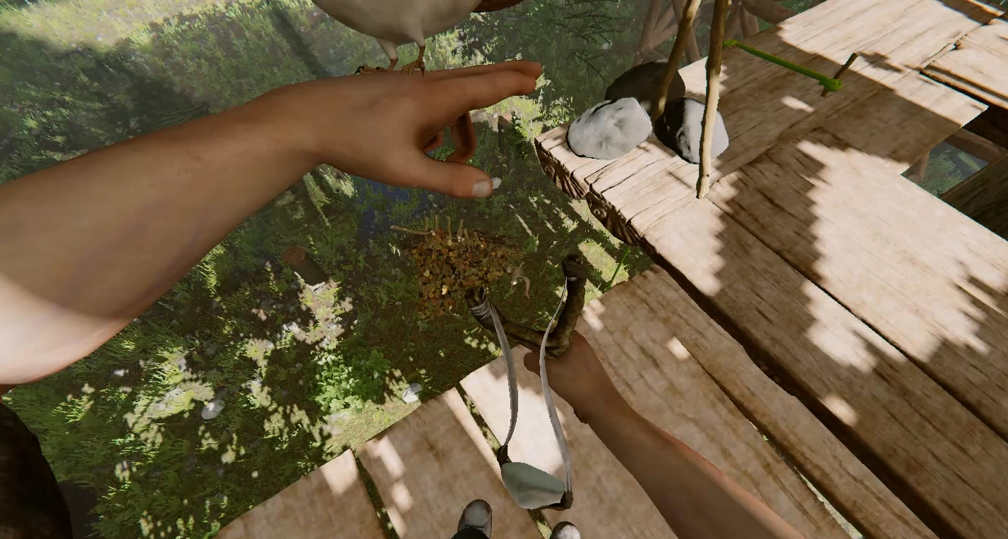 More Forest | Fandom