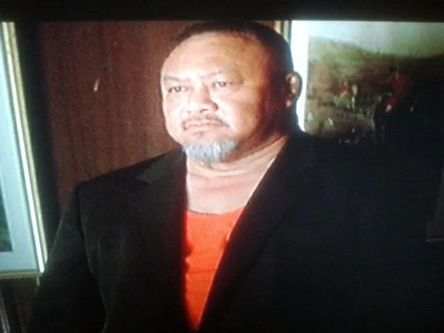 Rushmore | 3 ninjas Wiki | Fandom