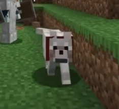 Tilly | The Life Series Wiki | Fandom