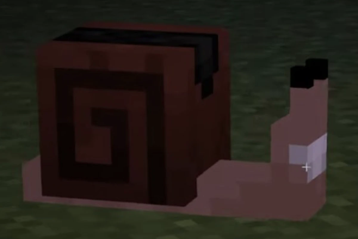 Snails | The Life Series Wiki | Fandom