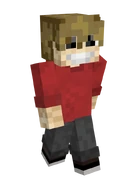 Grian | The Life Series Wiki | Fandom