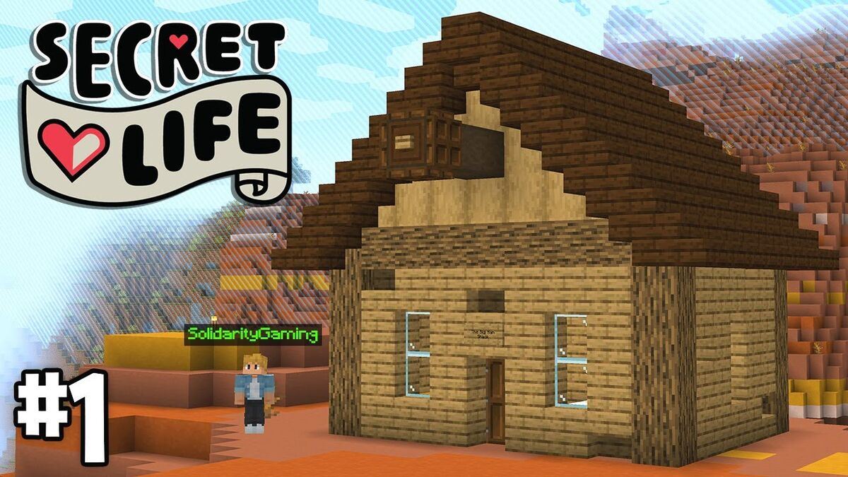Solidaritysecret Life Eps The Life Series Wiki Fandom