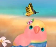 Muffin | 3rd & Bird Wiki | Fandom