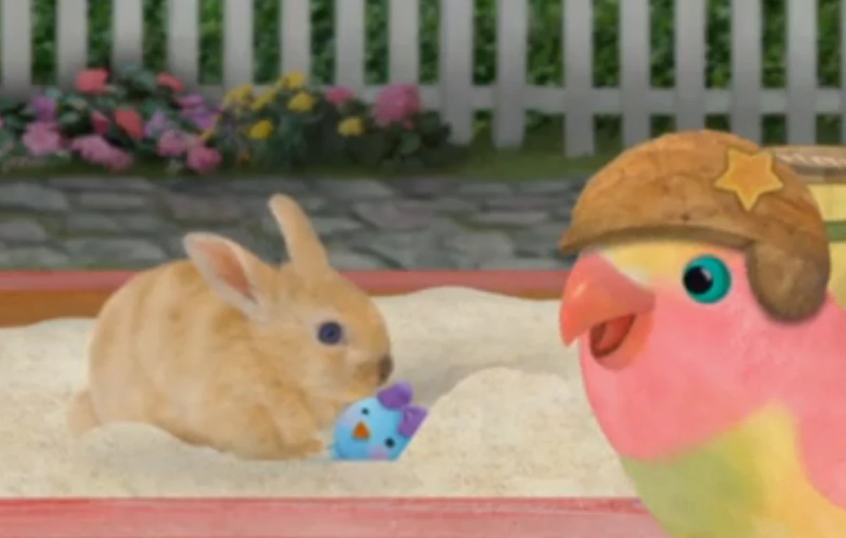 Rabbit | 3rd & Bird Wiki | Fandom