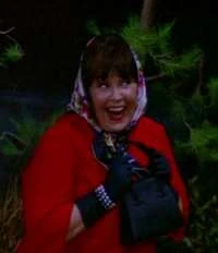 Janet Solomon | 3rd Rock from the Sun | Fandom