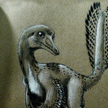 Discuss Everything About Dinopedia | Fandom