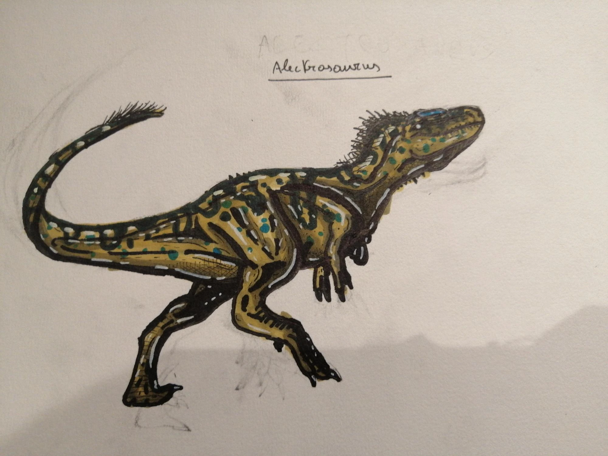 How accurate is my alectrosaurus drawing from 1-10 | Fandom