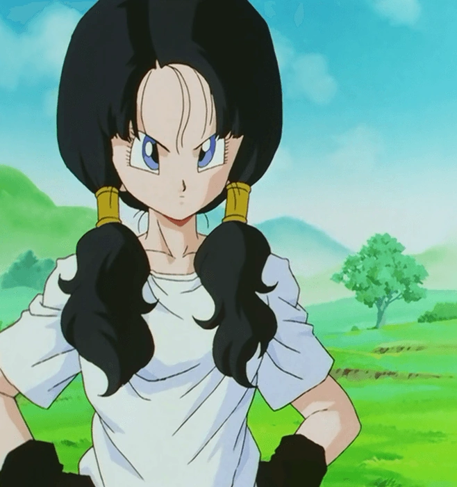 Videl | 400Movie Wiki | Fandom