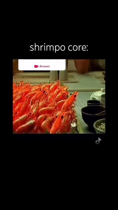 Shrimpo's family reunion has gone horribly wrong | Fandom