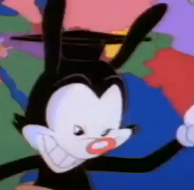 yakko gallery | Fandom