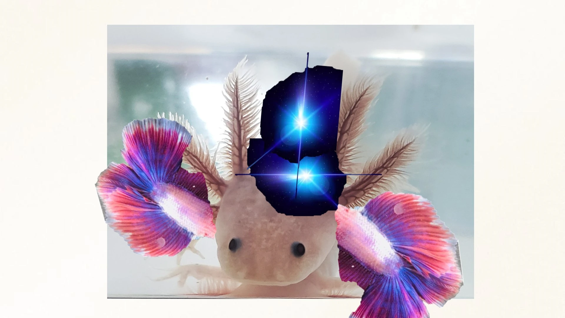 Welcome to Creatures of Sonaria | Fandom