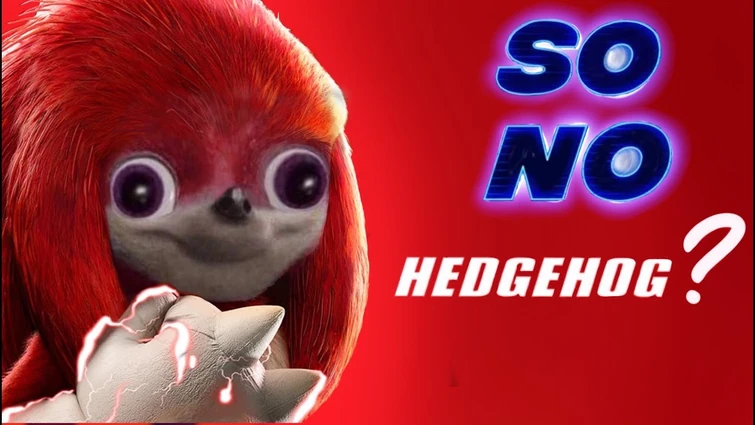 for all YTP fans, introducing... so no hedgehog?!(warning: may contain ...