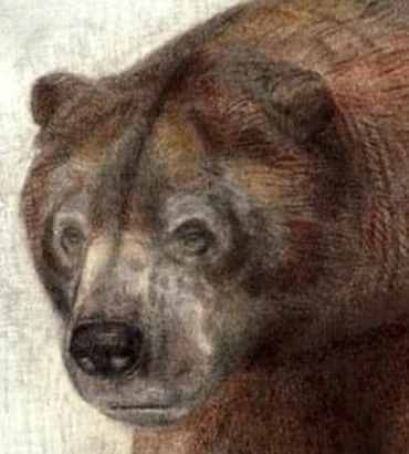 Discuss Everything About Prehistoric Wiki | Fandom